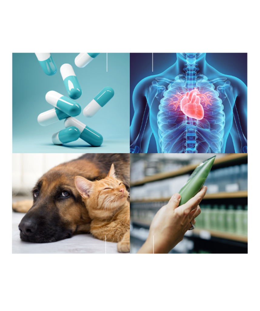 Scope – SPMD-Safety